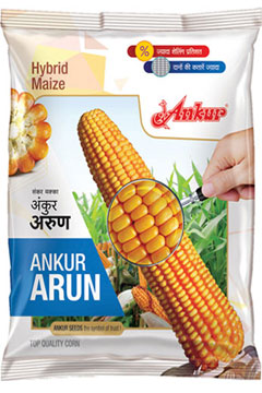 Ankur Seeds